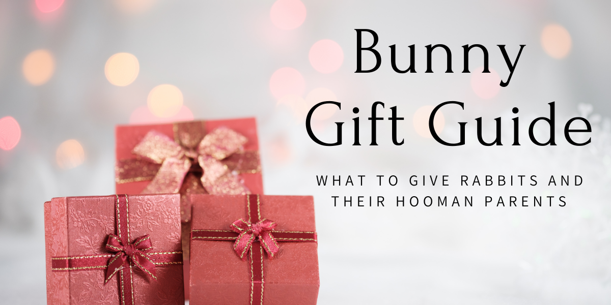 2026 Gift Guide: What should you get the rabbit and rabbit lover in ...