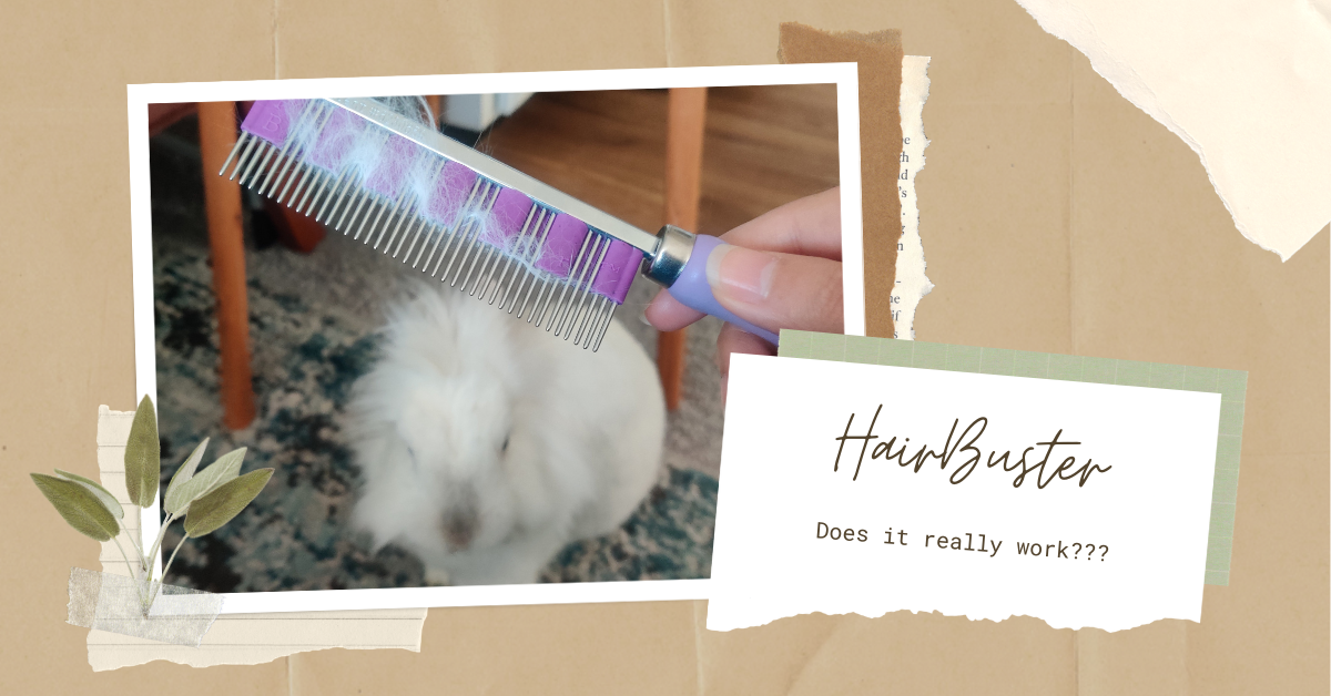 Review: Is the HairBuster worth the money? – cuzrabbits