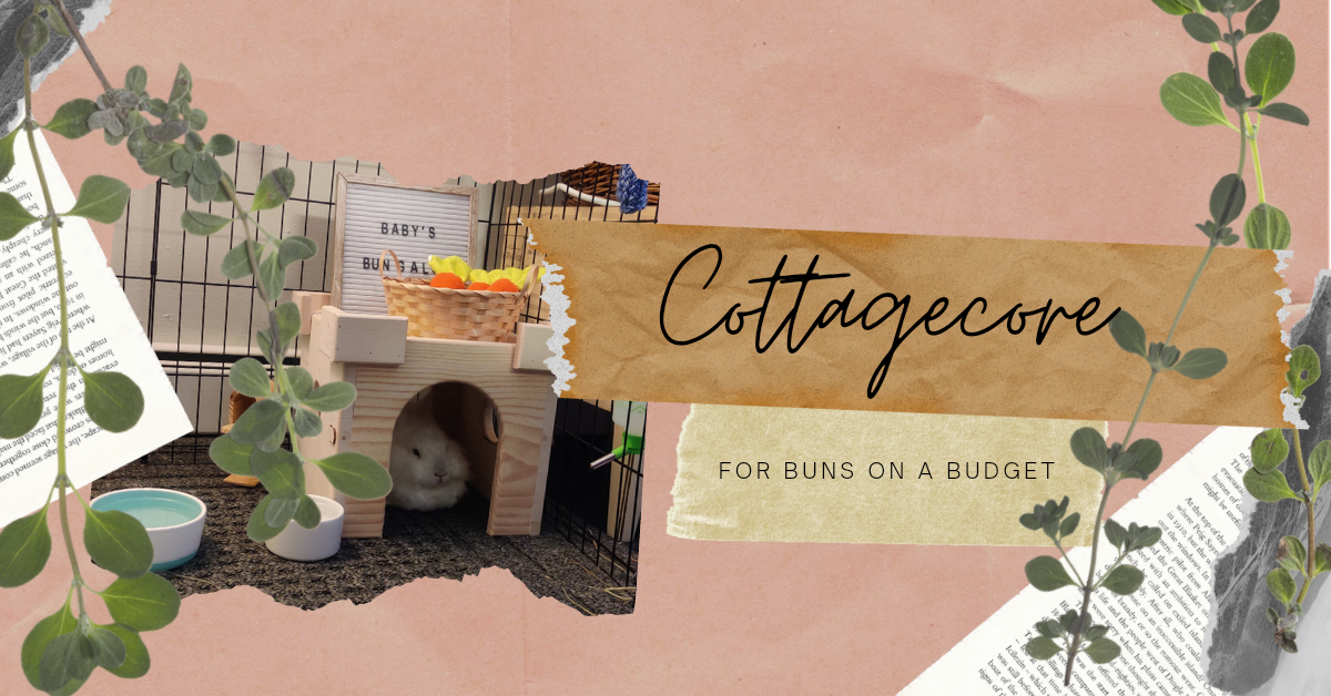 Rabbitat Makeover: How to turn your rabbit’s playpen into your ...