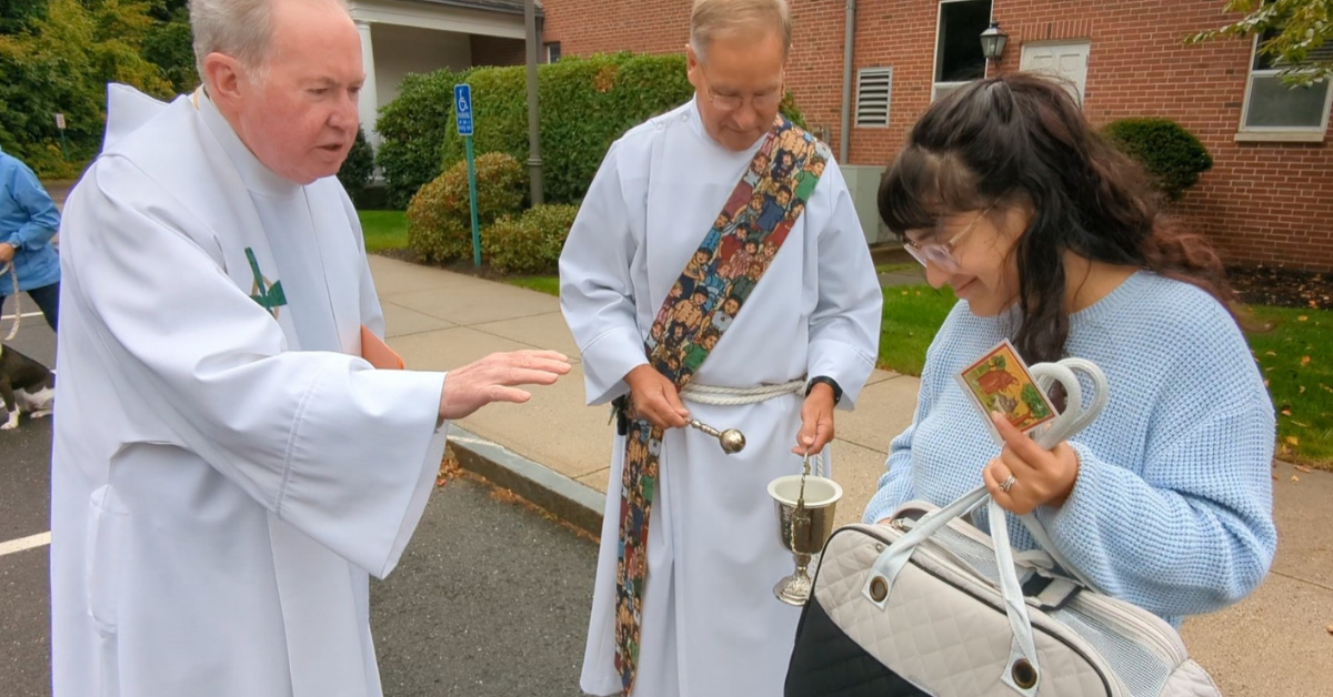 How to prepare your rabbit for a Blessing of the Animals – cuzrabbits