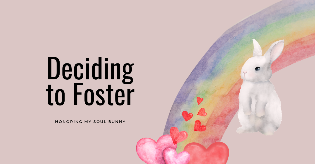 Honoring Baby: Why we decided to foster rabbits – cuzrabbits